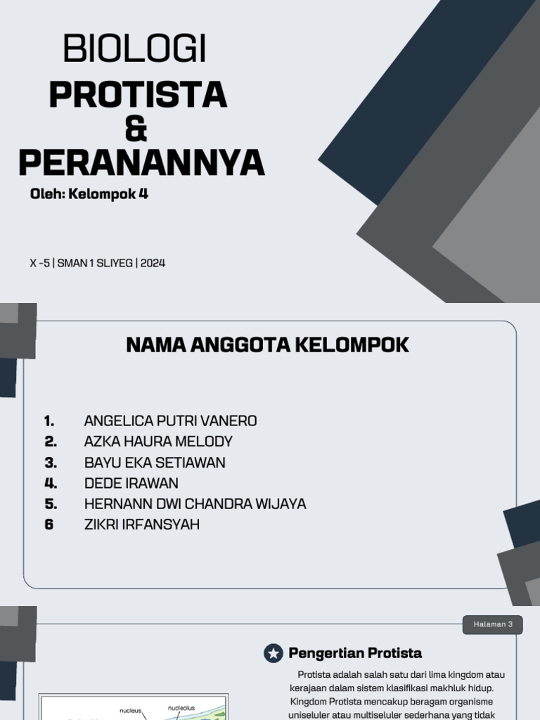 Protista Dan Peranannya (X-5) | PDF