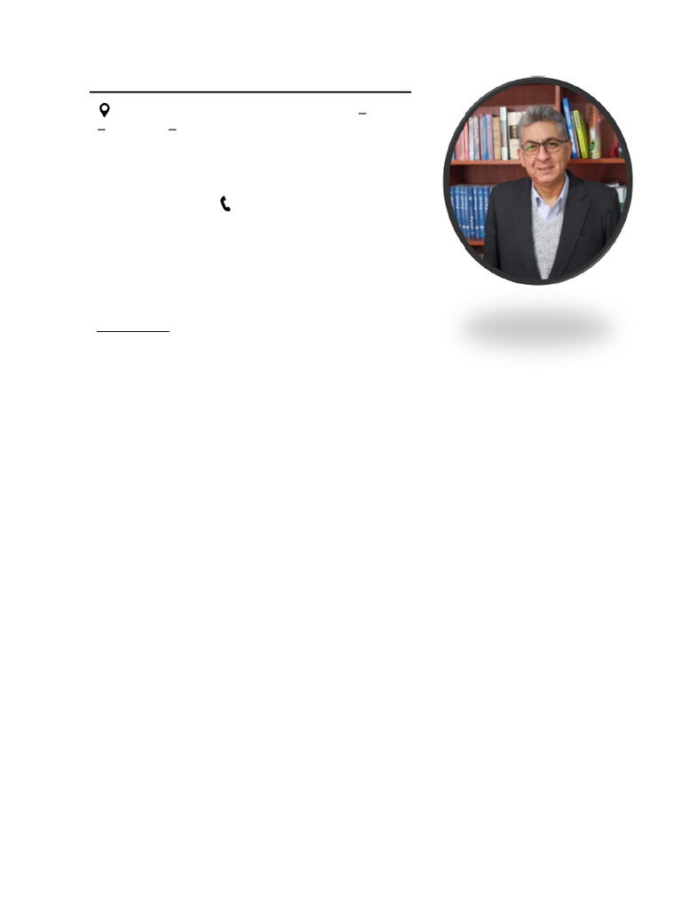 Perfil Profesional de José Larrazábal | PDF | Perú | Economias