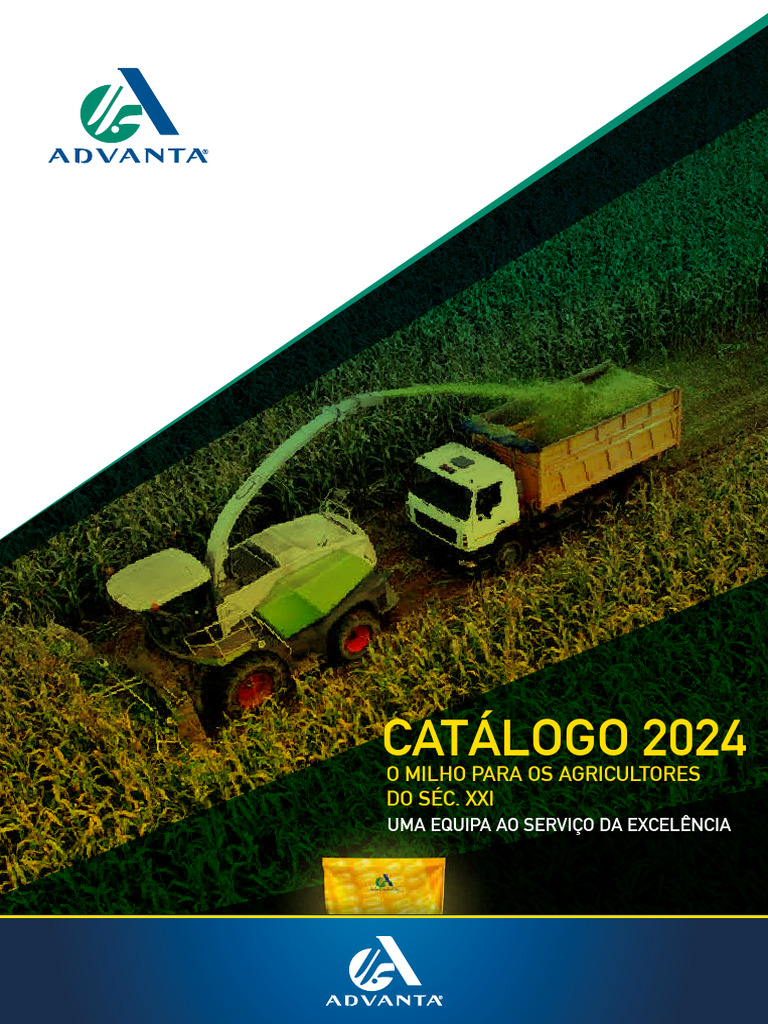Milho Advanta: Excelência Agrícola 2024 | PDF | Milho | Agricultura