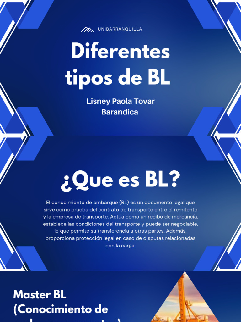 Tipos de BL No 2 | PDF | Guía de carga