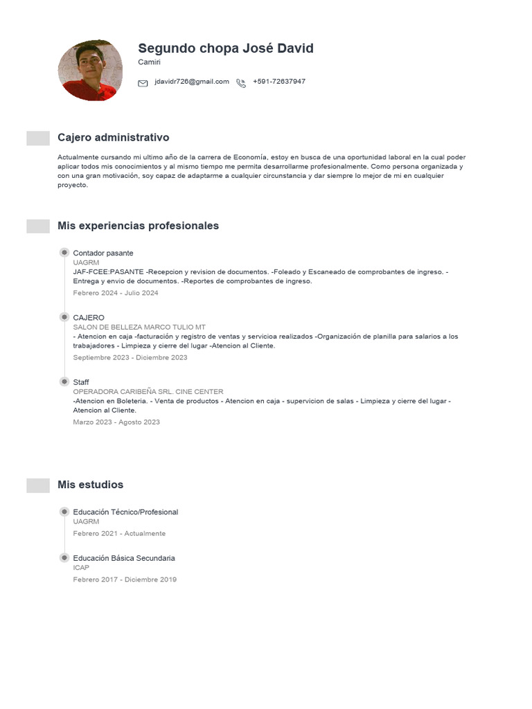 Currículum de José David Segundo Chopa | PDF