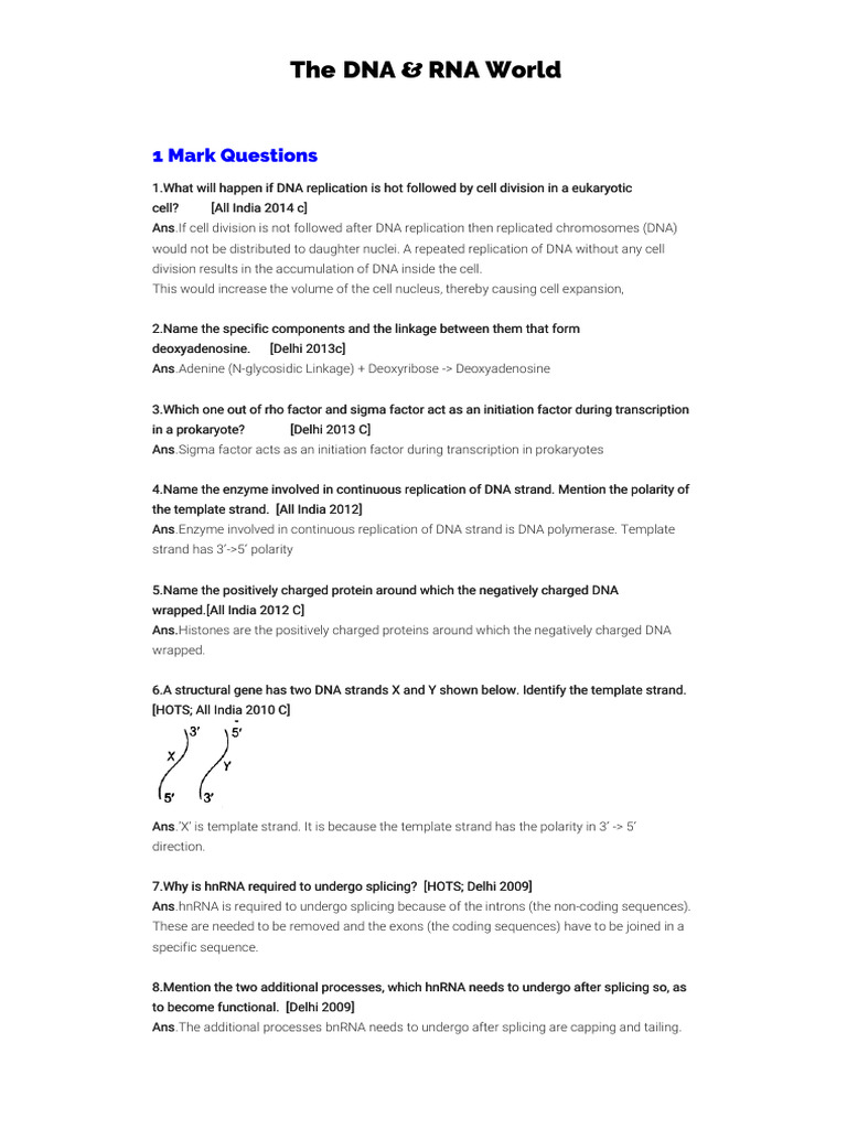 12 Bio Chapter 5 PYP 2 | PDF | Rna | Directionality (Molecular Biology)
