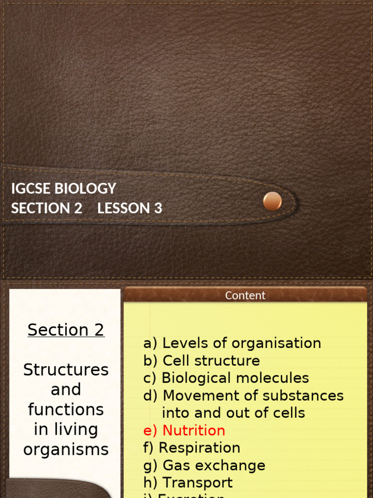 Biologysection2lesson3-240327003714-5c17a015 2 | PDF | Digestion ...