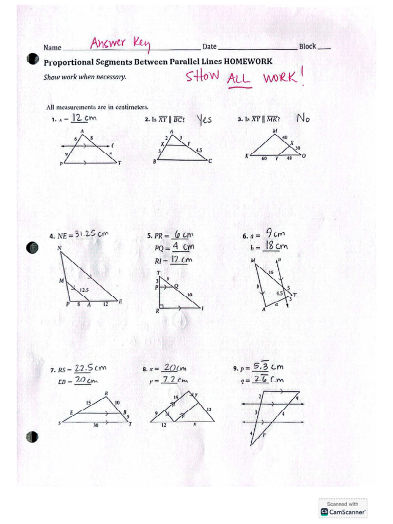 Homework 2 - Proportional Segments Between Parallel Lines ANSWER KEY | PDF