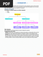 Class 12 Biology Notes Chapter - 12 Ecosystem | PDF | Ecosystem | Food Web