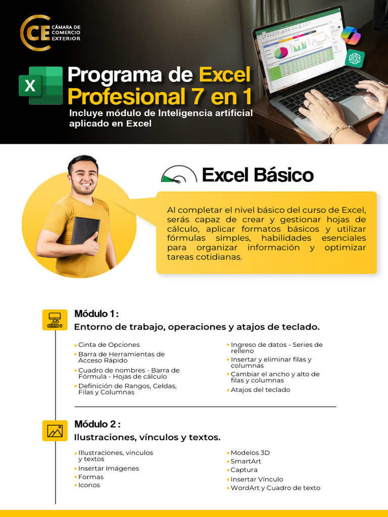 Silabus Excel 7 en 1 (Internacional) | PDF | Macro (informática) | Microsoft Excel