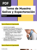 Baciloscopia BK Esputo | PDF | Tos | Laboratorios