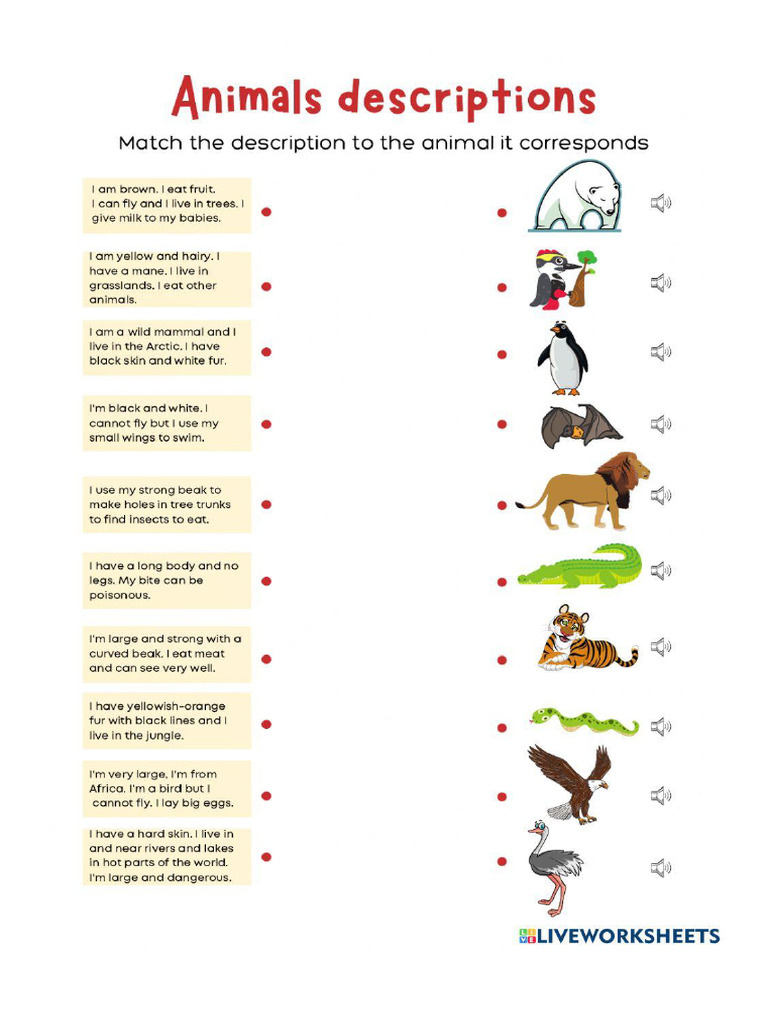 Animals Descriptions | PDF
