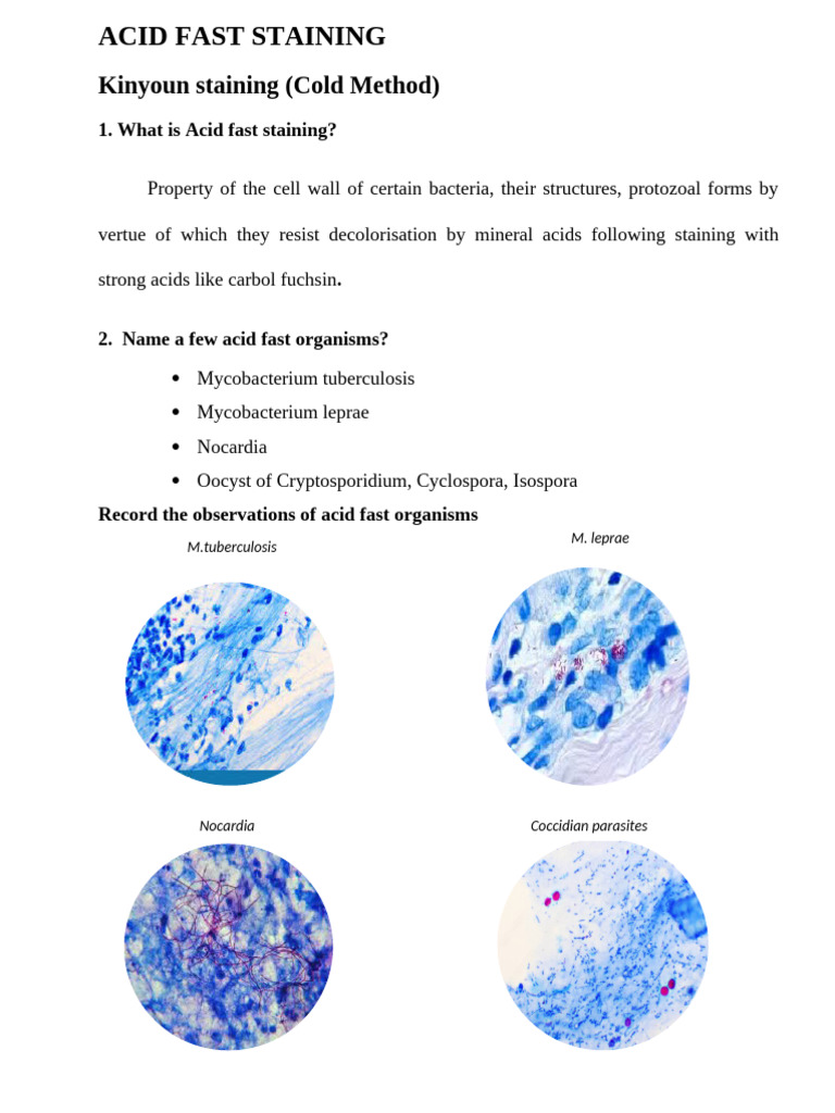 Acid Fast Staining 29.03.2022 | PDF | Mycobacterium | Staining