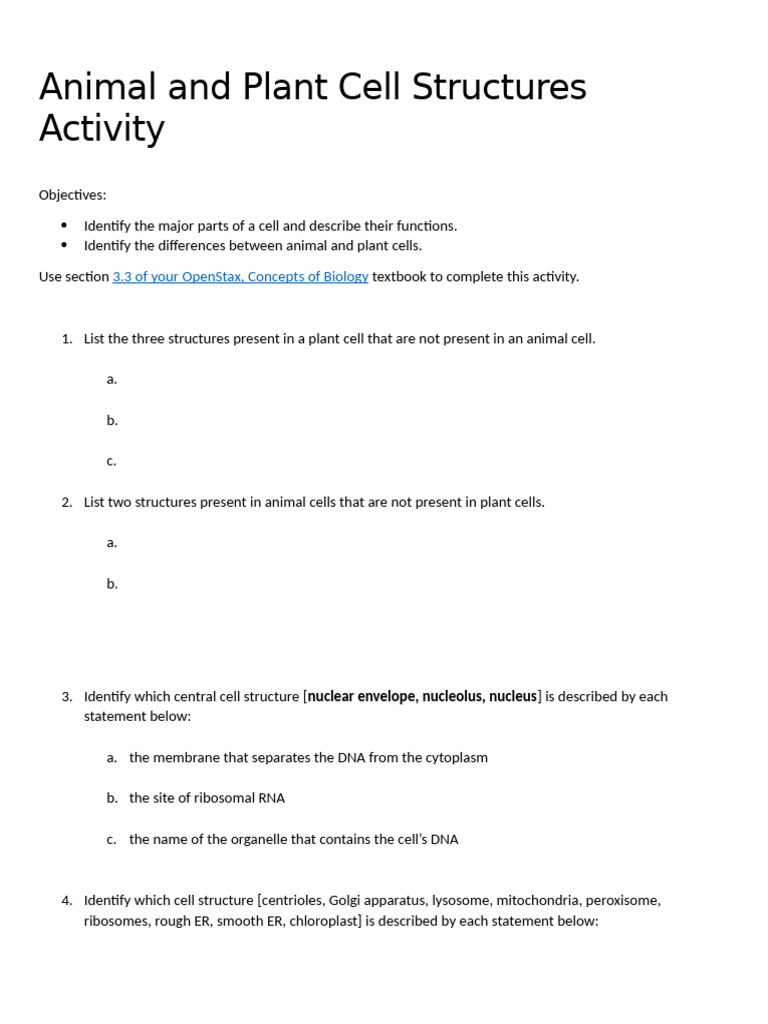 Cell Structures Worksheet | PDF | Cell (Biology) | Endoplasmic Reticulum