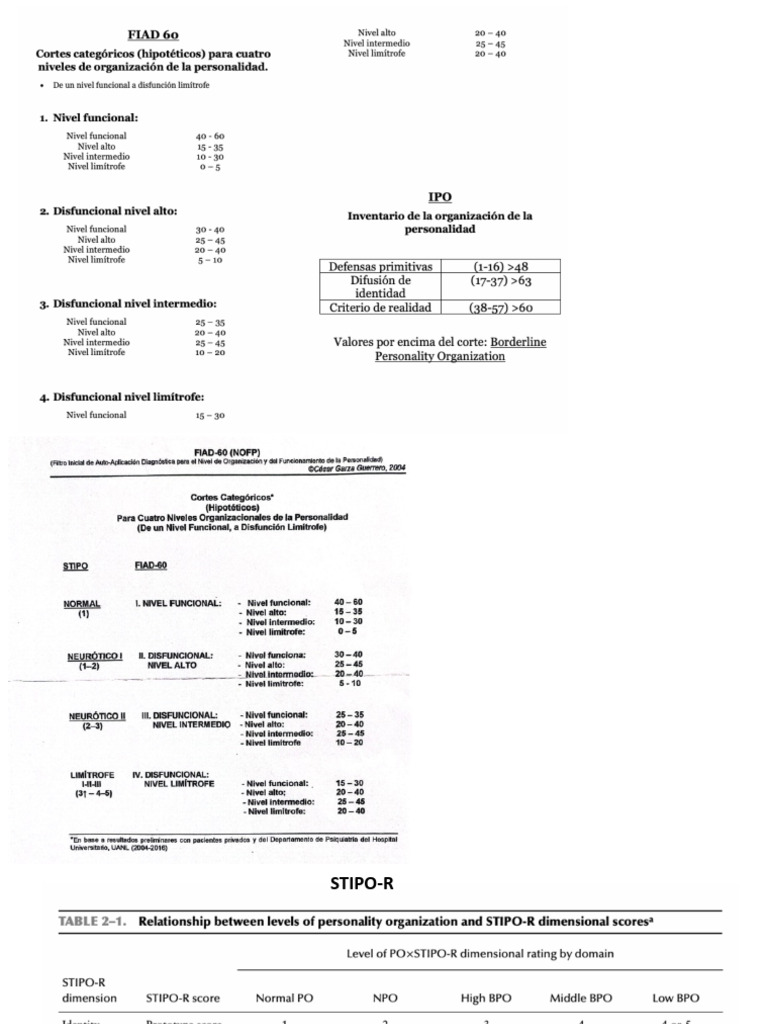 Fiad - Ipo - Stipo-R | PDF