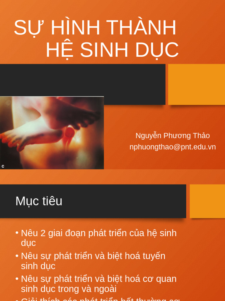4-Su Hinh Thanh He Sinh Duc 2021 | PDF