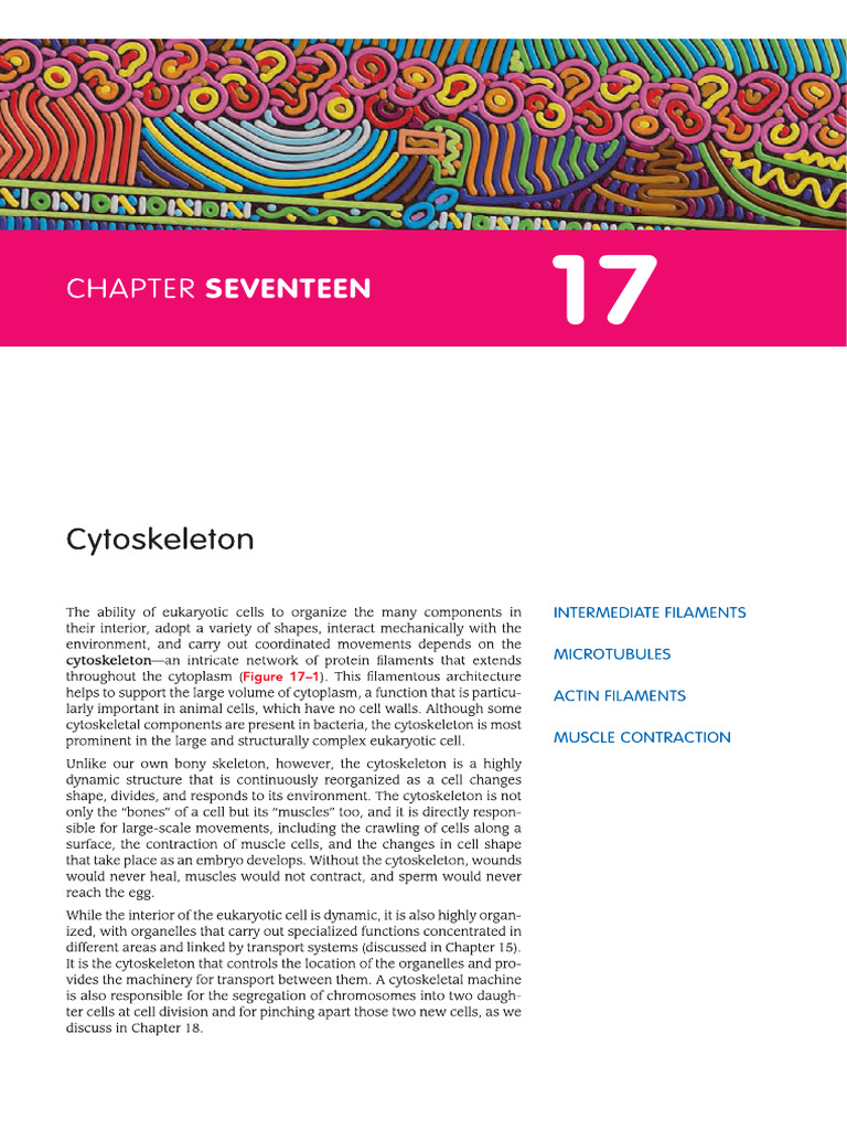 Cytoskeleton - Essential Cell Biology | PDF