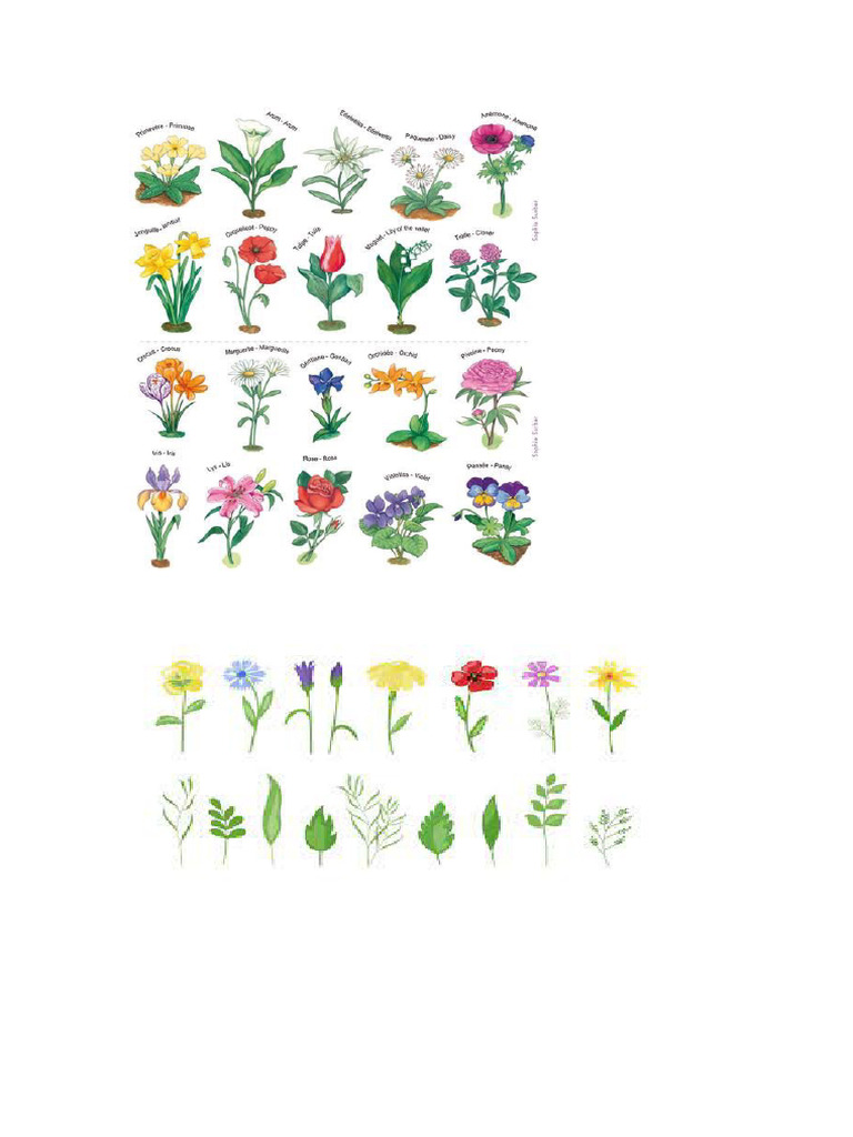 Fleurs Et Arbres | PDF