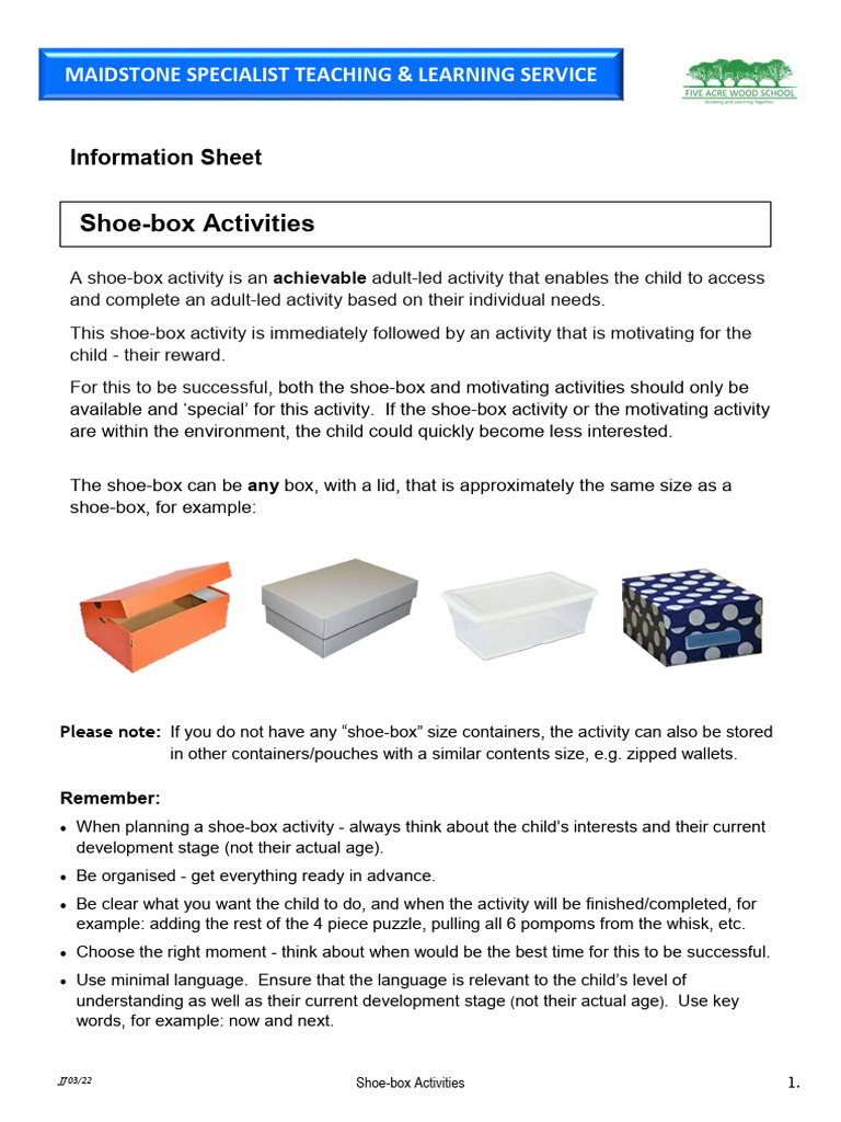 Shoe Box Activities Information Sheet Updated | PDF | Cognitive Science ...