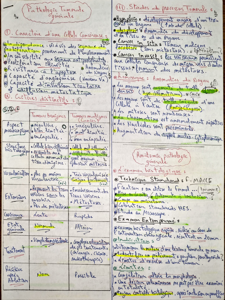 Sefiani Fiche | PDF | Causes de décès | Médecine clinique