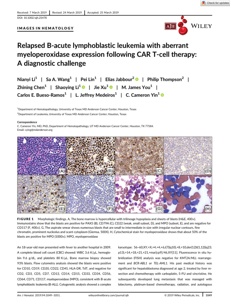 Relapsed B-Acute Lymphoblastic Leukemia With Aberrant Myeloperoxidase Expression Following CAR T ...