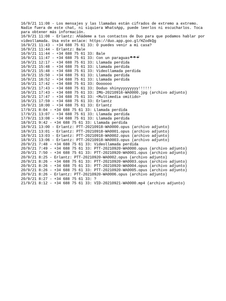 Chat de WhatsApp Con +34 688 75 61 33 | PDF