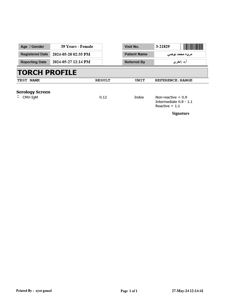Torch Profile مروة محمد نوضي 2 | PDF