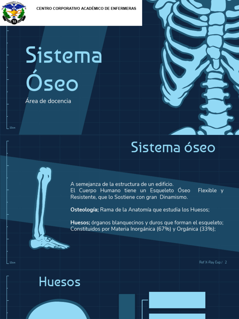 Unidad II Sistema Oseo | PDF | Hueso | Tórax