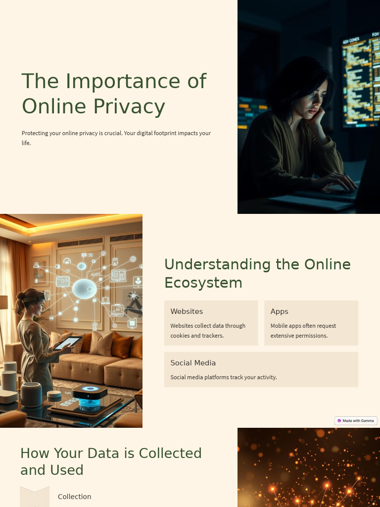 Safeguarding Your Online Privacy | PDF | Business | Computers