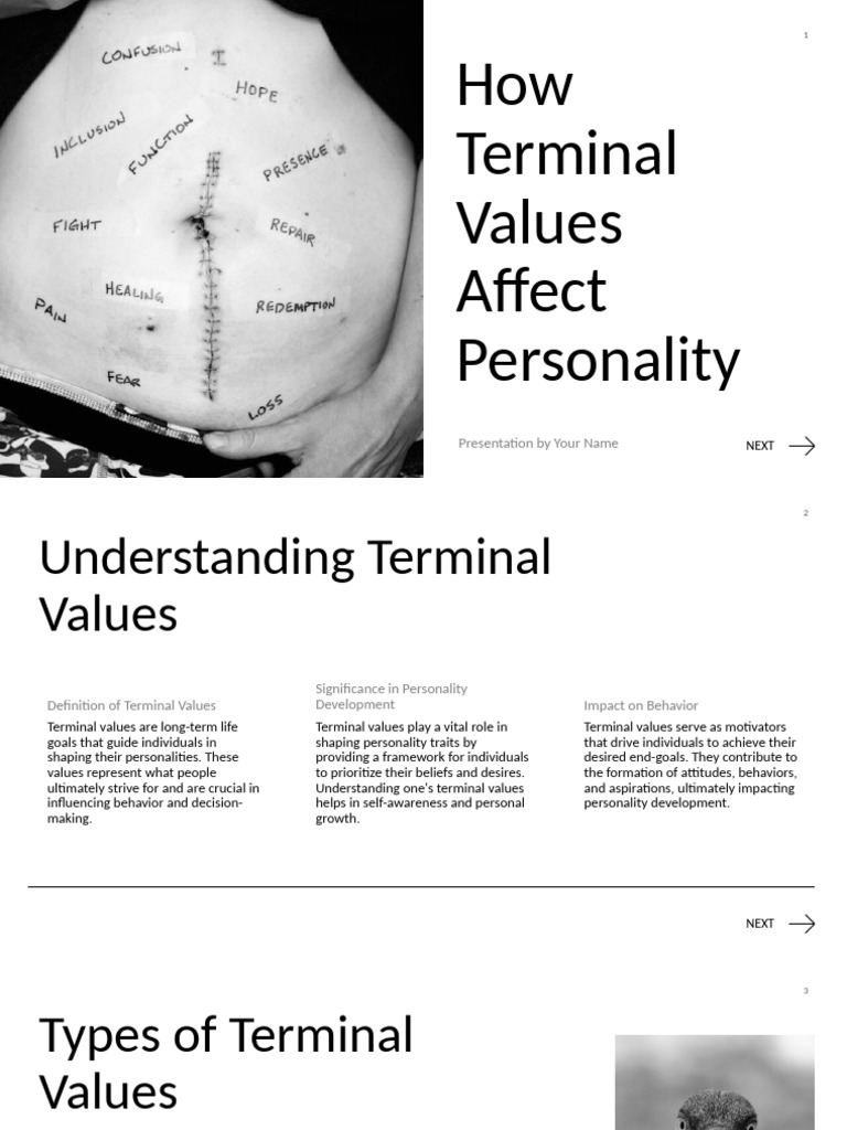 How Terminal Values Affect Personality | PDF | Creativity | Personal ...
