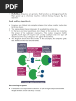 Pogil - 6 Enzymes and Cellular Regulation | PDF | Enzyme | Polymerase ...