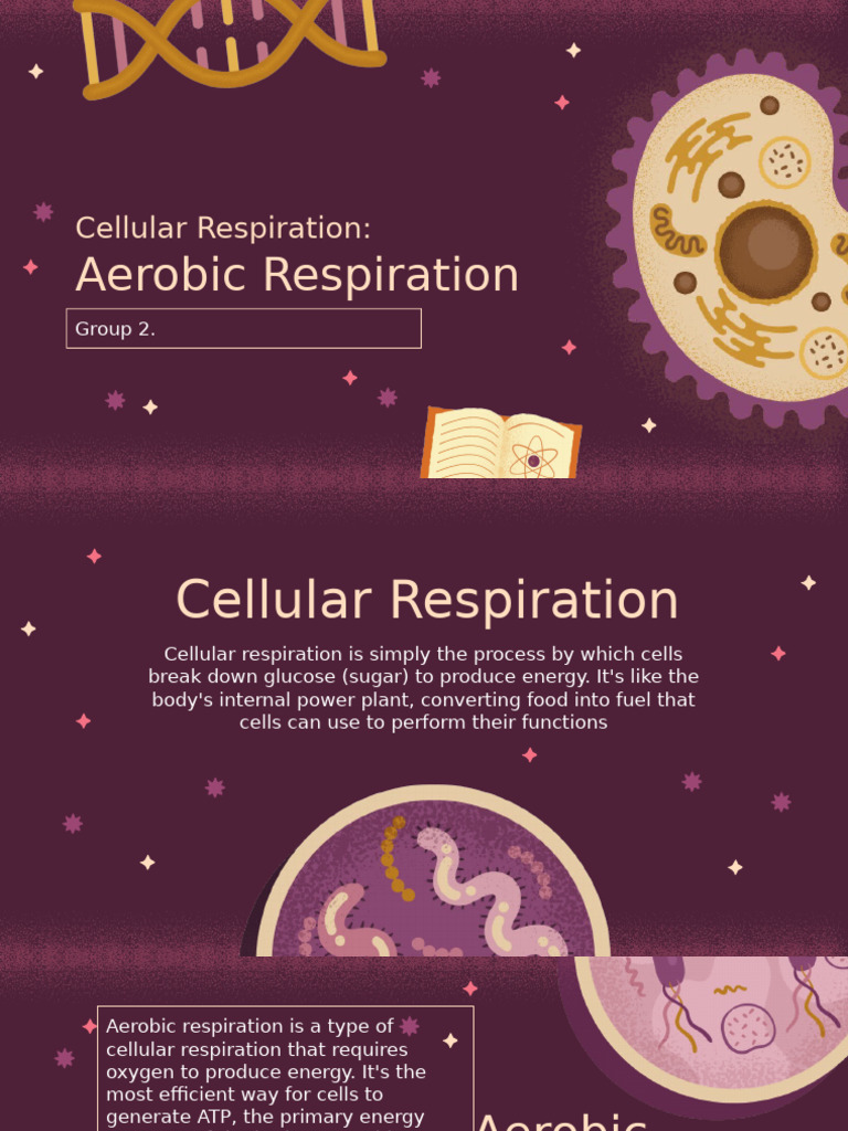 Aerobic Respiration | PDF | Cellular Respiration | Adenosine Triphosphate