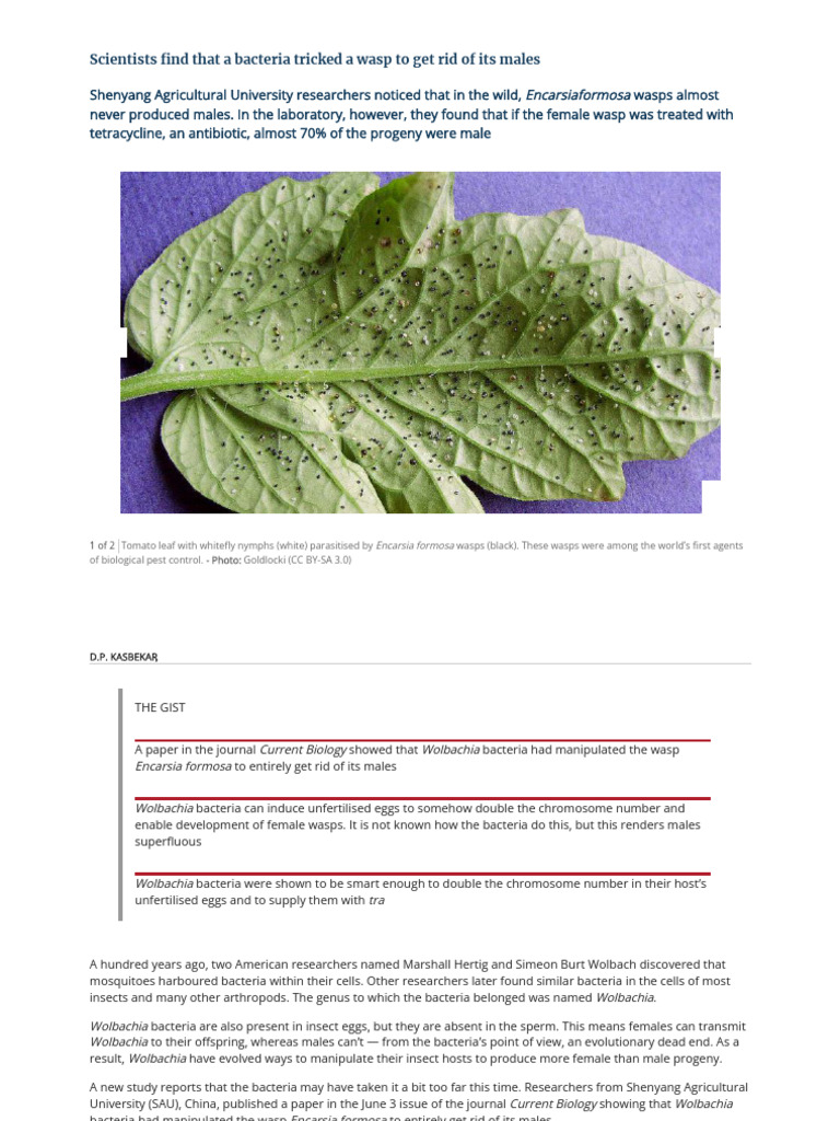 Biological Pest Control | PDF | Wasp | Hymenoptera