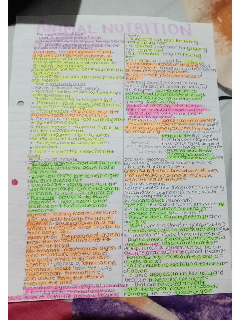 Excretion and Animal Nutrition Grade 11 | PDF