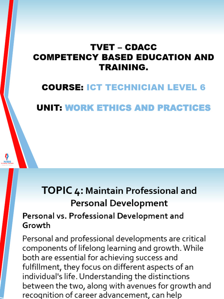Professional and Personal Development Guide | PDF | Mentorship ...