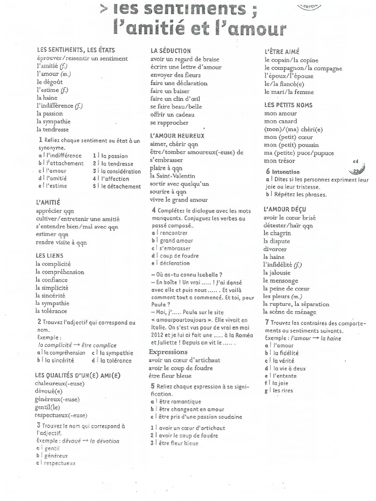 Vocabulaire Les Sentiments | PDF