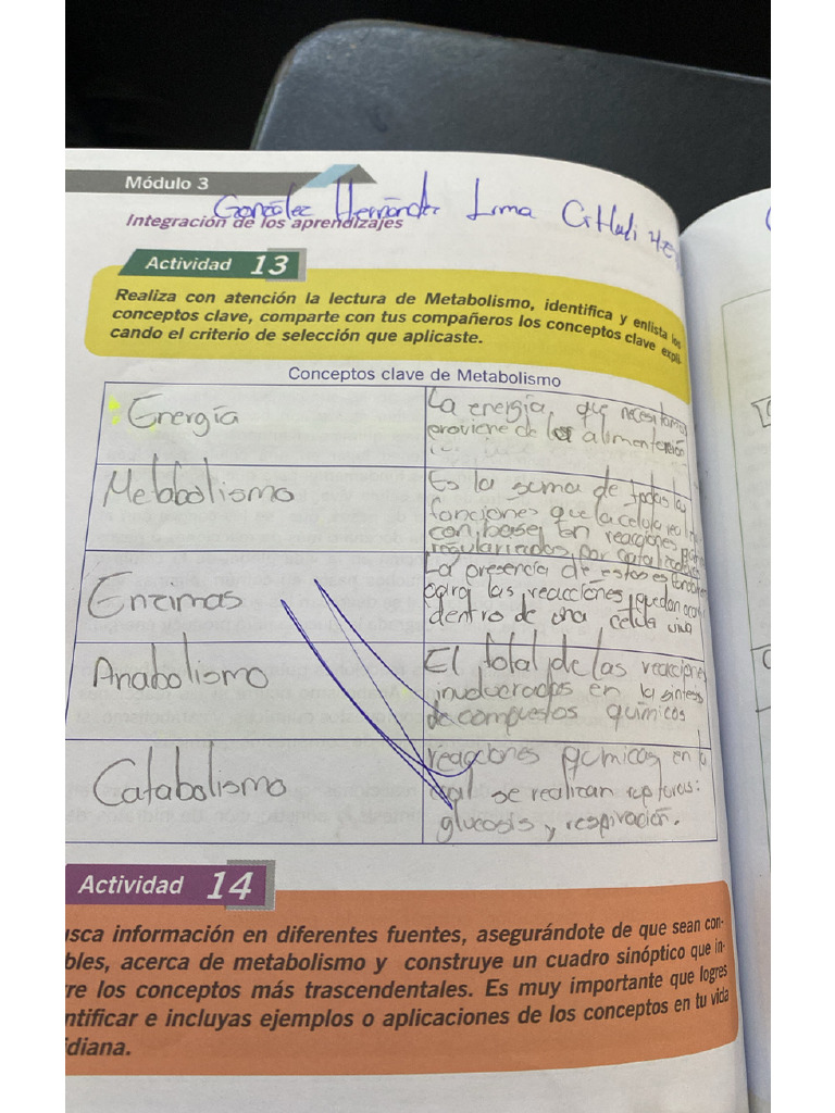 Act Aula3 GonzalezHernandezIrmaCitlali | PDF