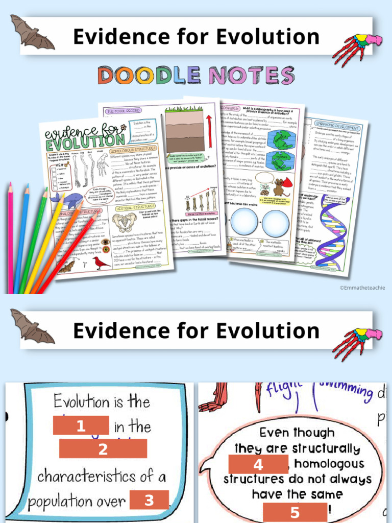 08 Evidence For Evolution Doodle Notes - STUDENT VERSION F24 | PDF