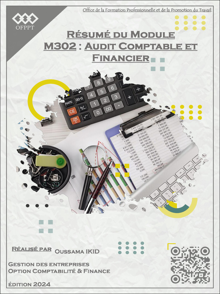 M302 Audit Comptable Et Financier | PDF