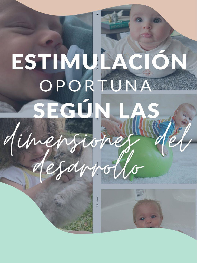 Guía de Estimulación Temprana Infantil | PDF | Las emociones | Estrés (biología)