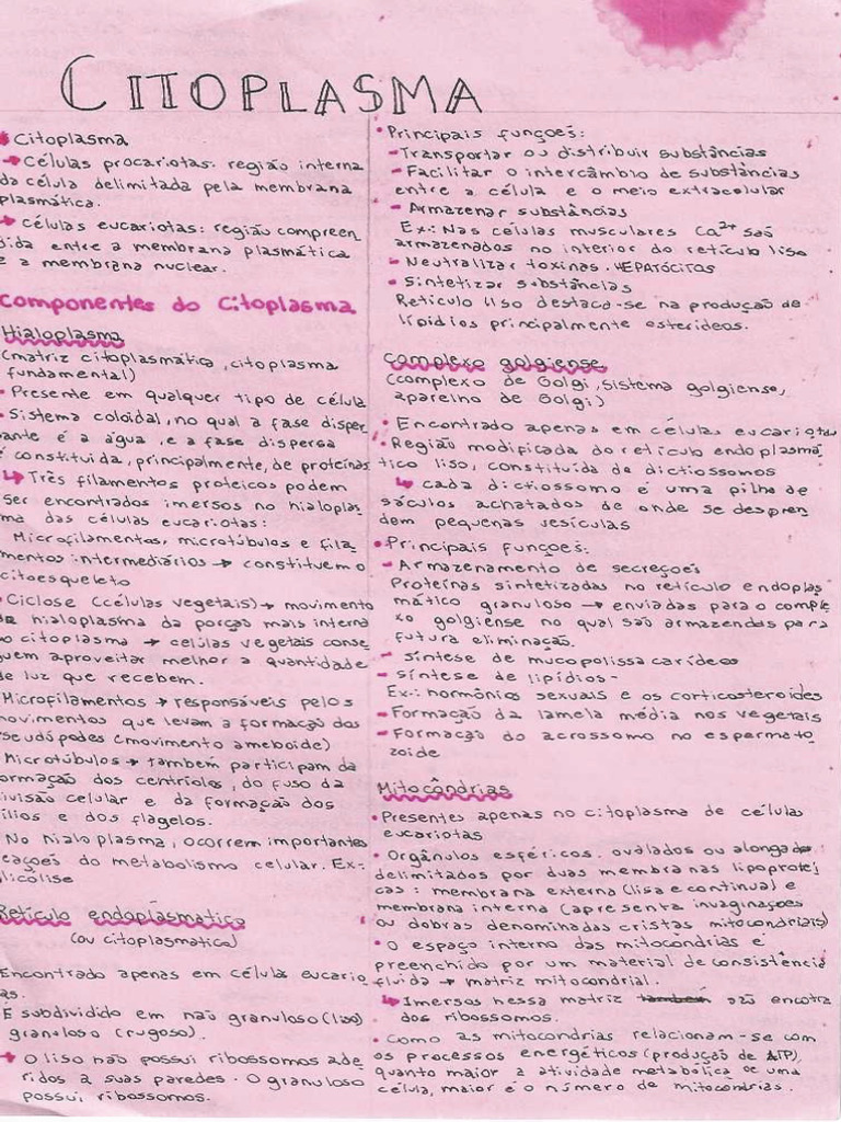 Biologia - Citoplasma | PDF