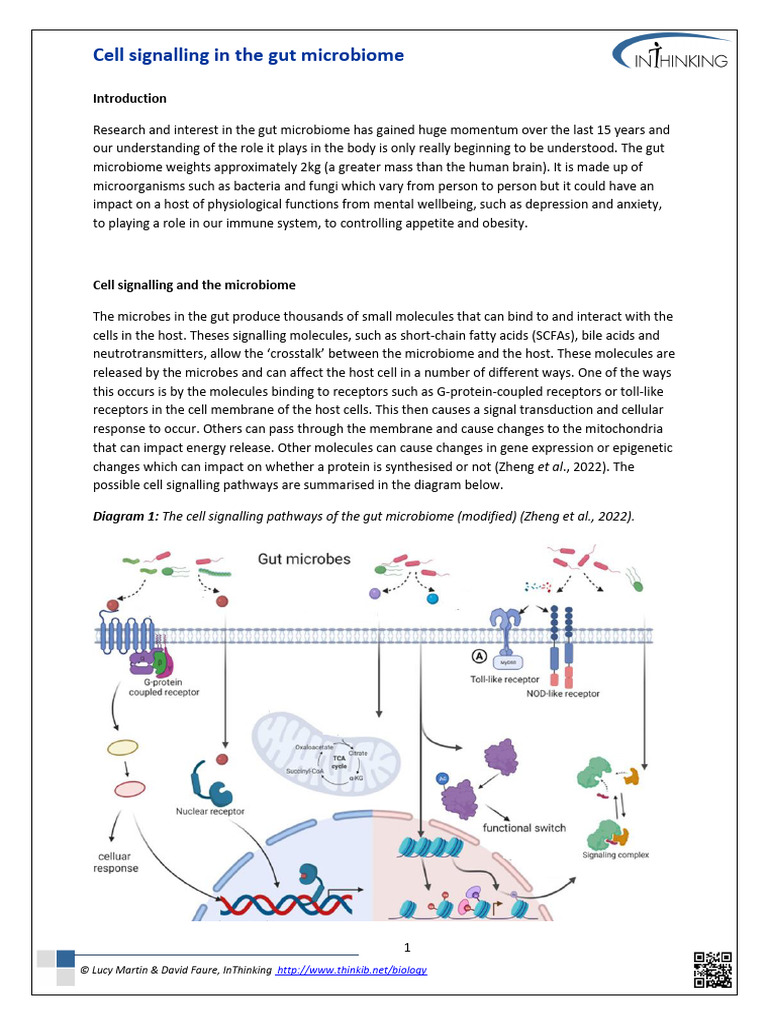Comprehension On Microbiome Cell Signalling 1 | PDF | Cell Signaling ...