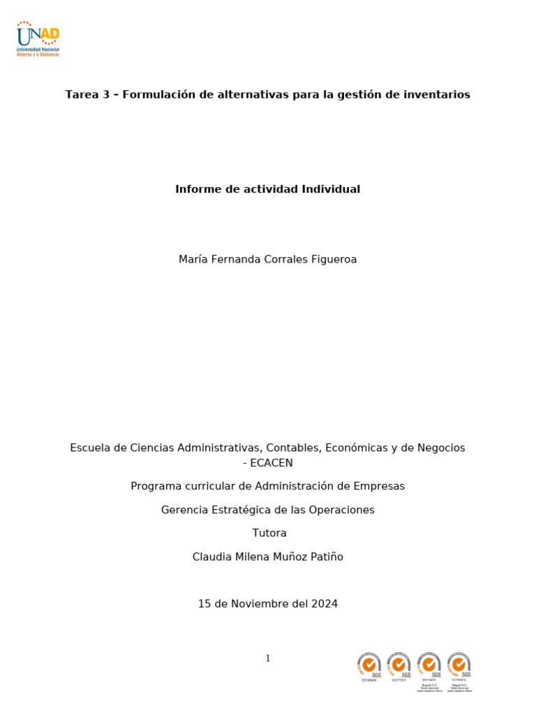 Mafe-Plantilla - Informe Individual Tarea 3 | PDF | Business | Informática