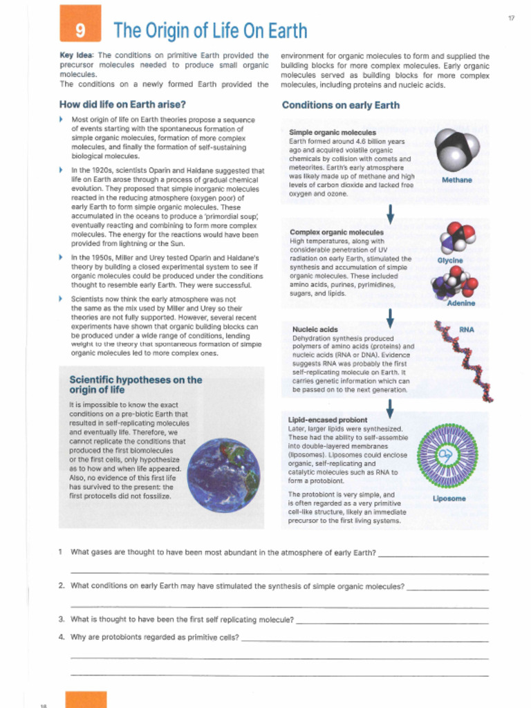 A2.1 Origin of Cells - Biozone | PDF