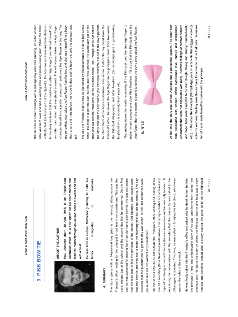 Pink Bow Tie Notes | PDF