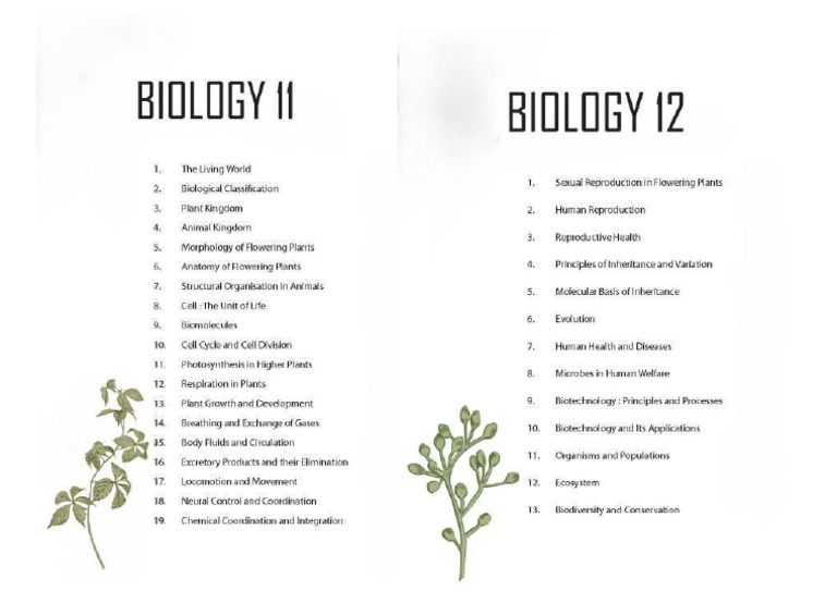 Biology | PDF