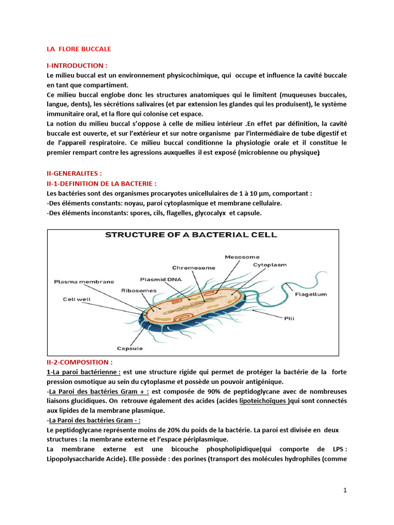 8 La Flore Buccale | PDF | Bactérie | Membrane cellulaire