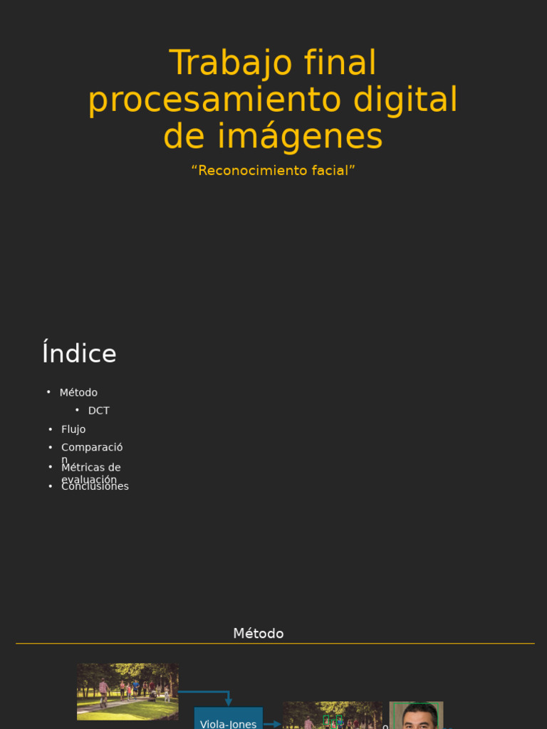 Trabajo Final Procesamiento Digital de Imágenes | PDF | Matemáticas ...