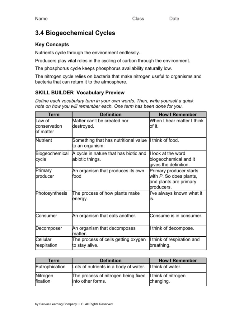 Eco Worksheet | PDF