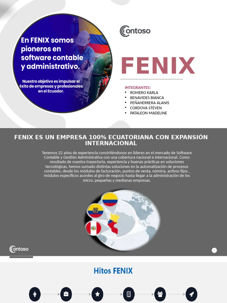FENIX | PDF | Contabilidad | Tecnologías de la información