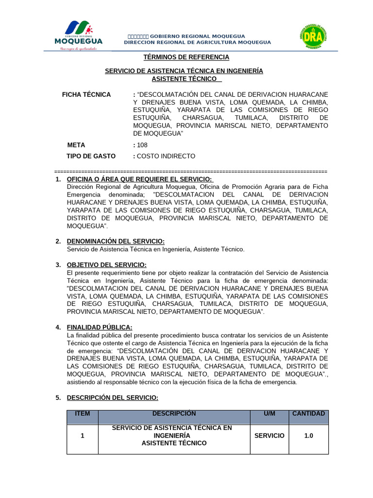 TDR - Asistente Tecnico en Ingenieria - Direccion Tecnica | PDF
