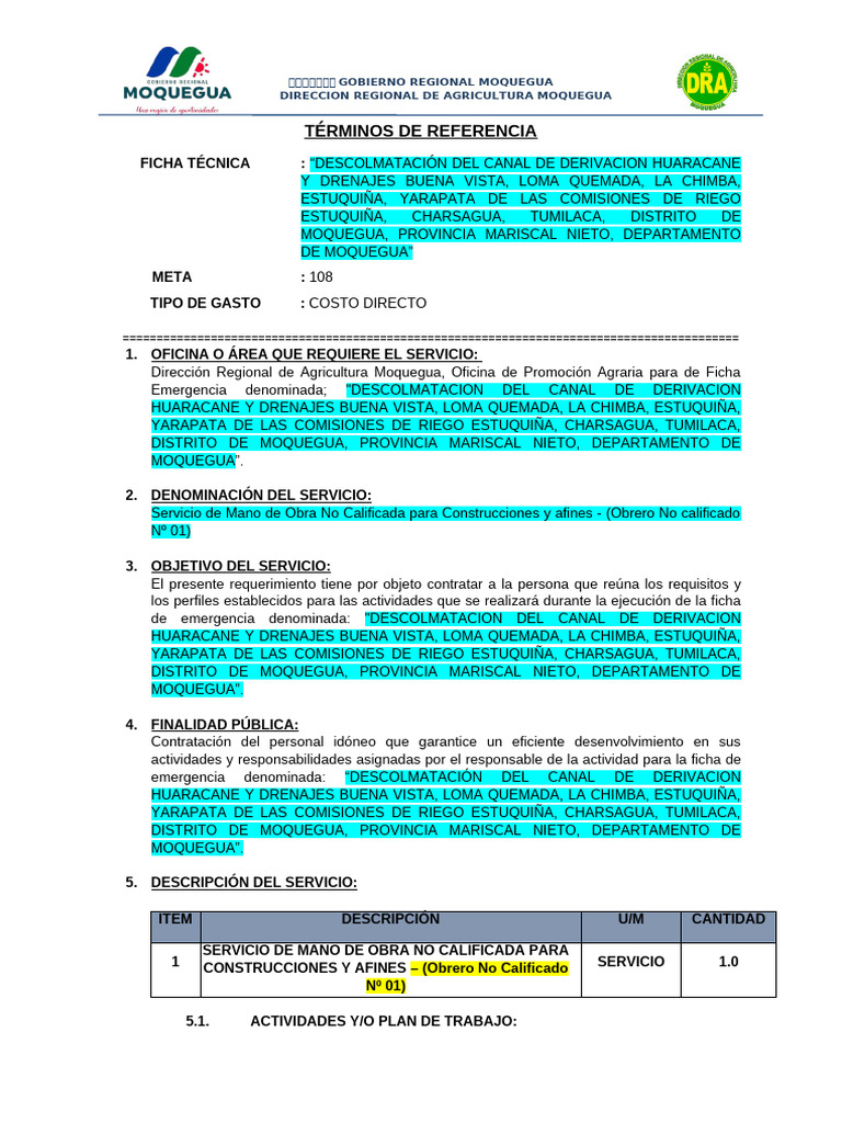 TDR - Mano de Obra No Calificada | PDF | Ciencia y matemáticas | Tecnología