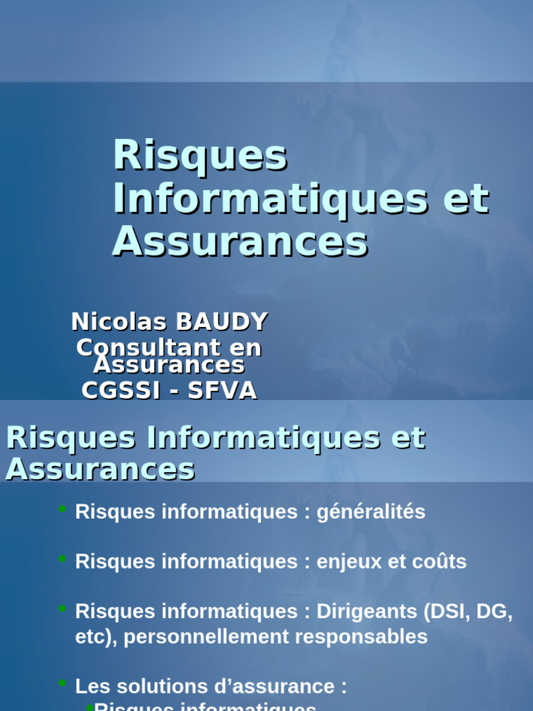 Risques Informatiques | PDF | Risque | Assurance