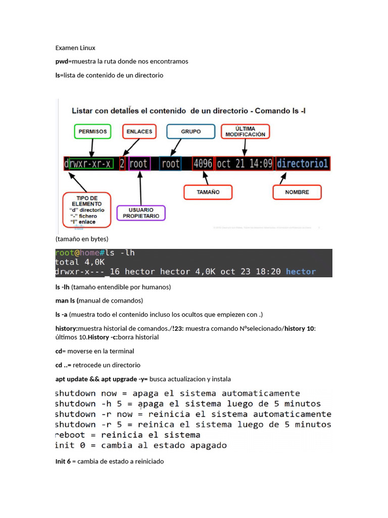 Examen Linux Ec3 | PDF | Arte | Informática